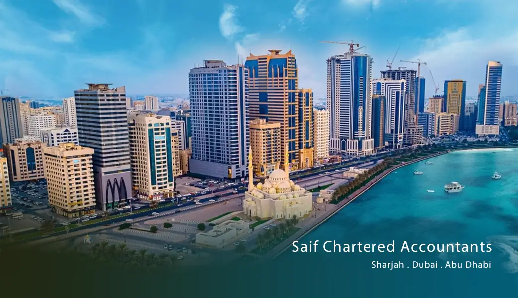 Wage Protection System (WPS) in DMCC Free Zone - Saif Chartered Accountants